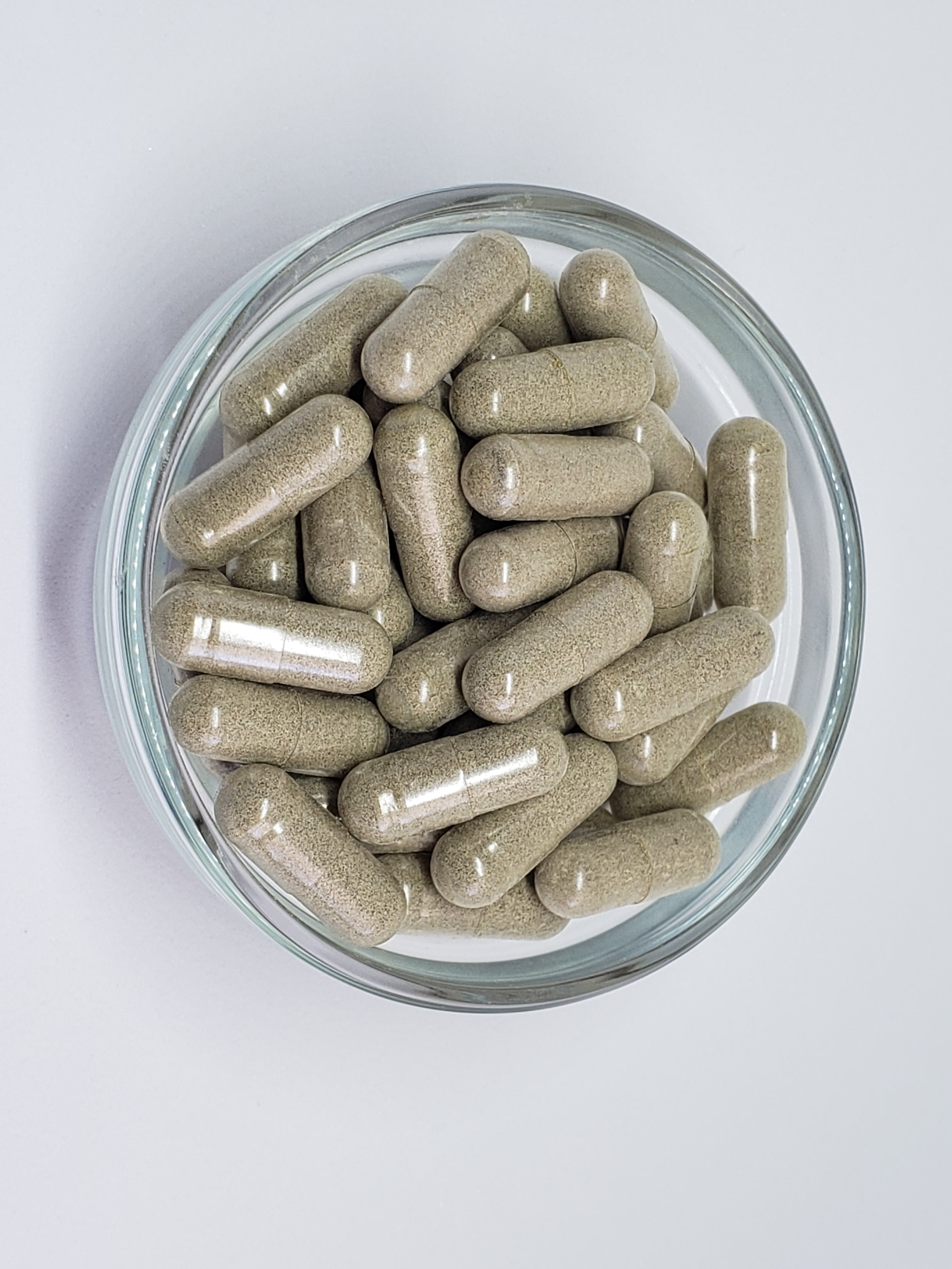 Blue Vervain Capsules – Herbal Island